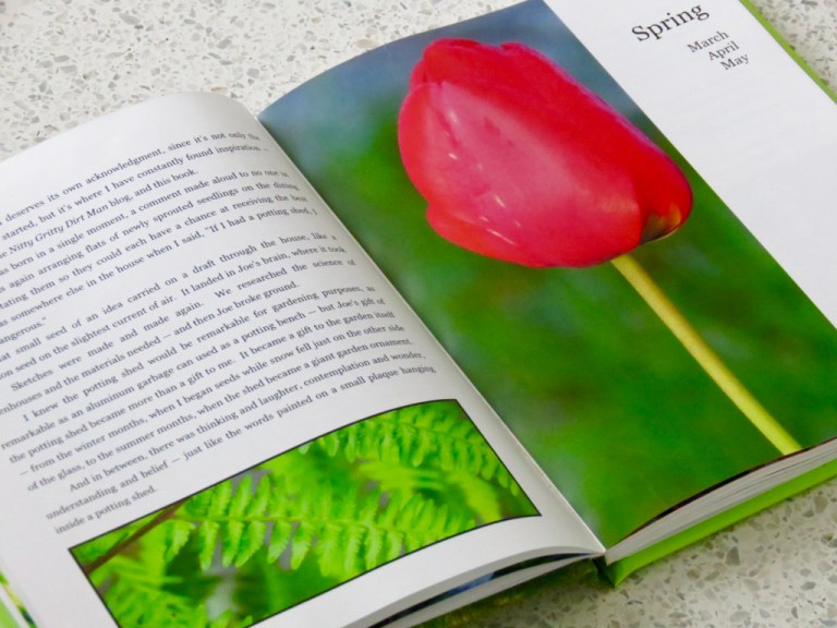 Bloomin’ Update 61: Seeing Red, White, Purple, & “Green” | Nitty Gritty ...